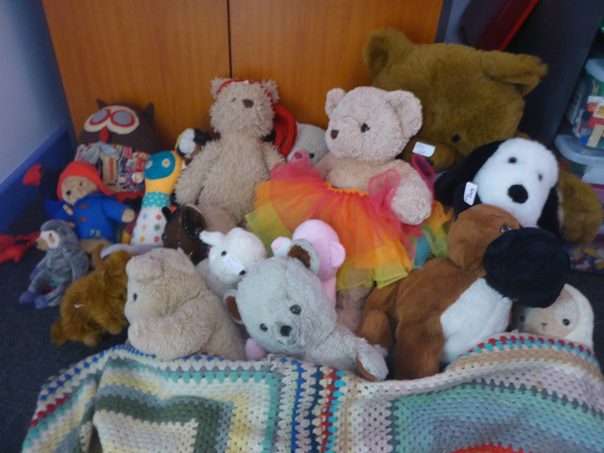 School holiday activity – Teddy Bears picnic and library sleepover for ...