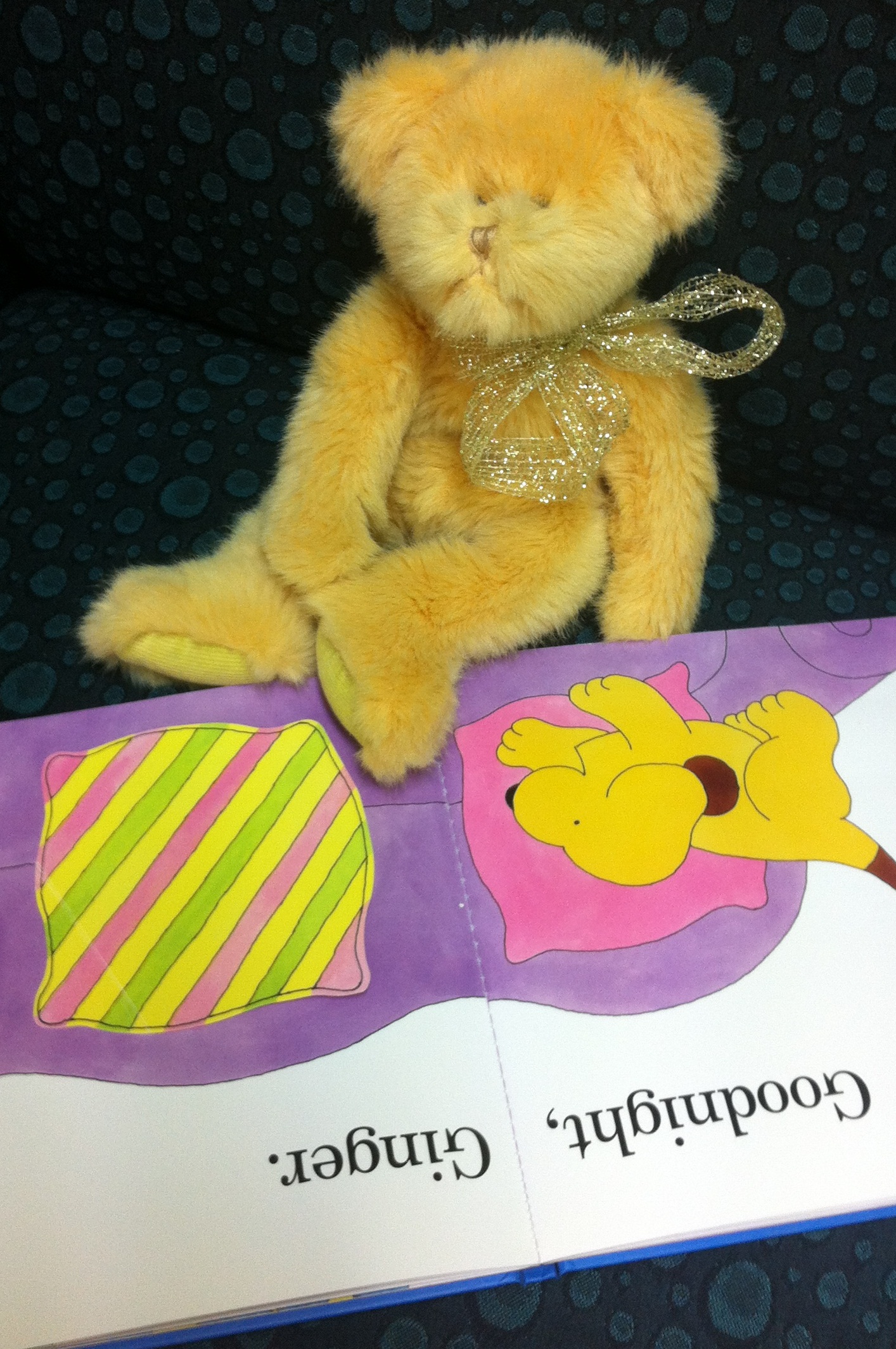 School holiday activity – Teddy Bears picnic and library sleepover for ...
