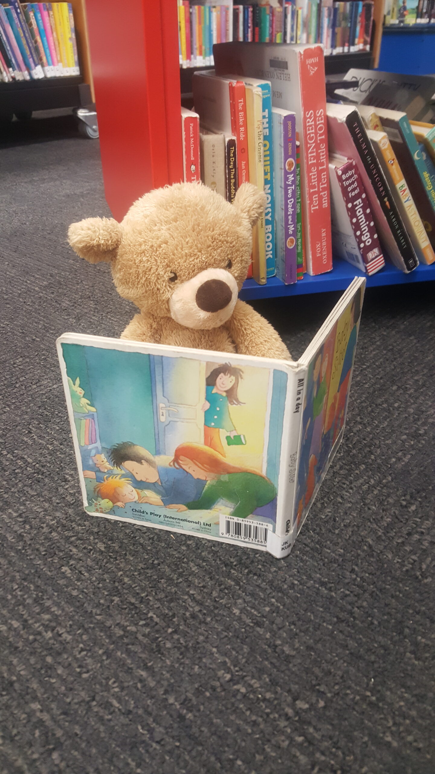 Is this your teddy bear? | Shire of Augusta Margaret River Libraries